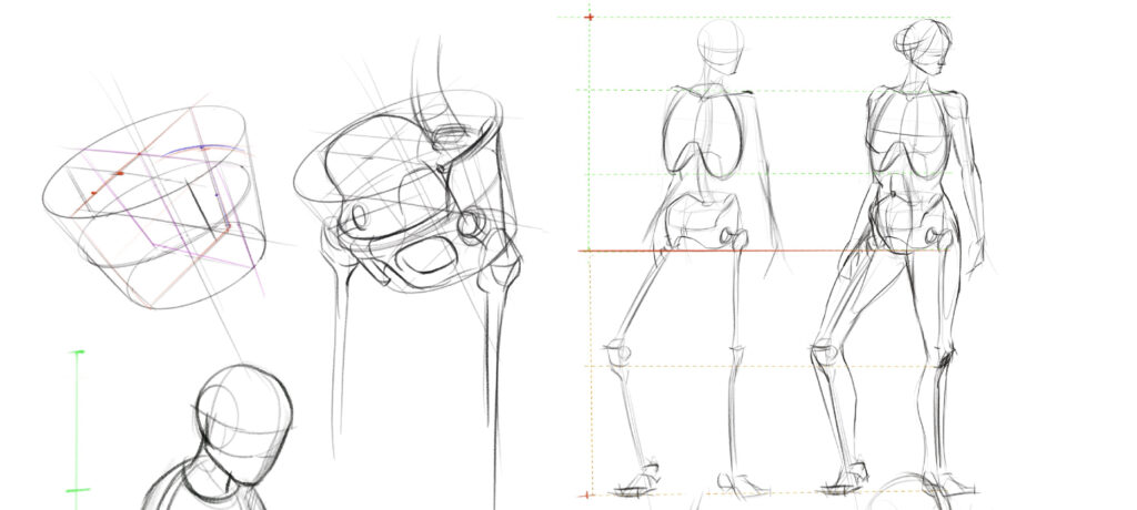 Anatomy of the Human Body – poradora